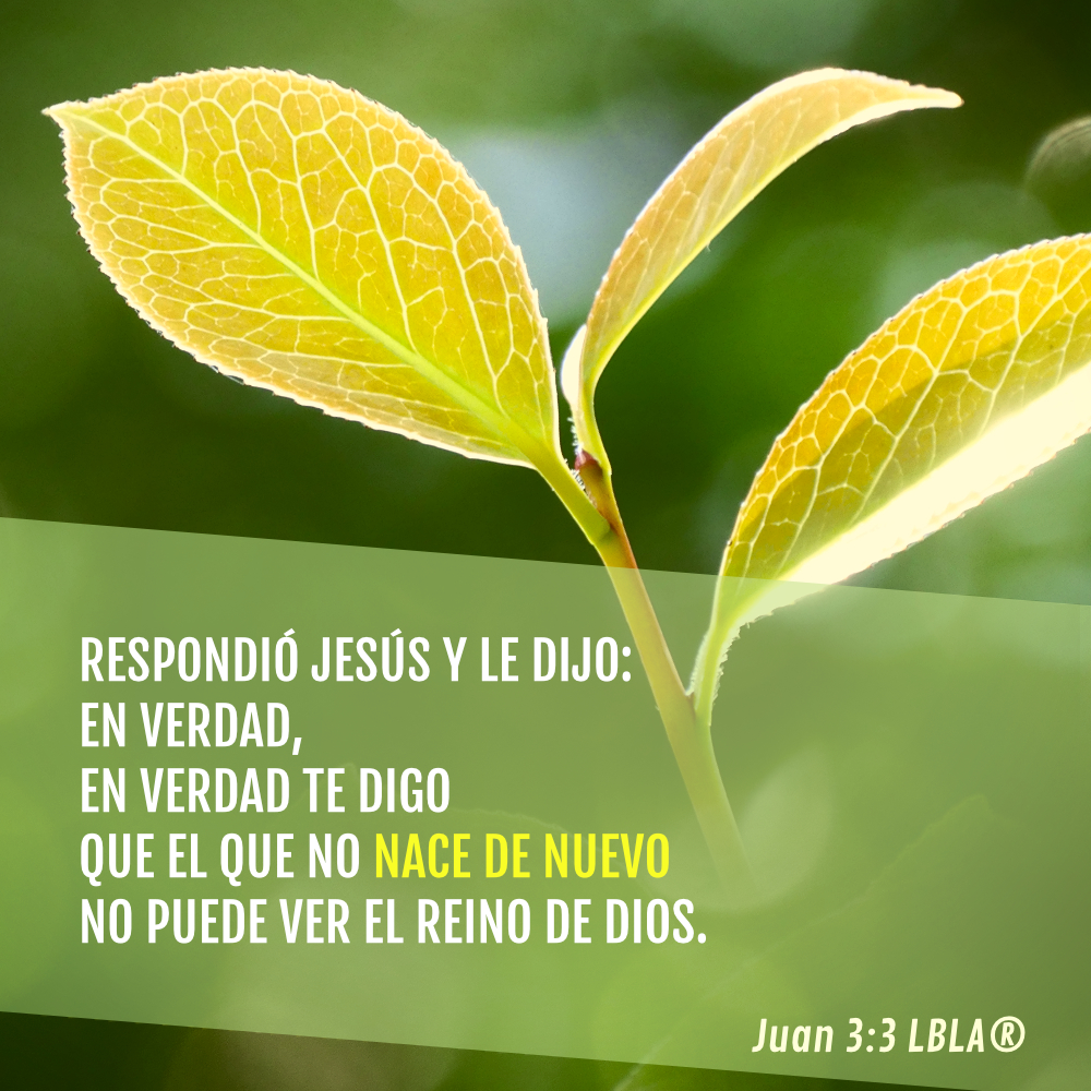 Versículo de la Biblia-Juan 3:3